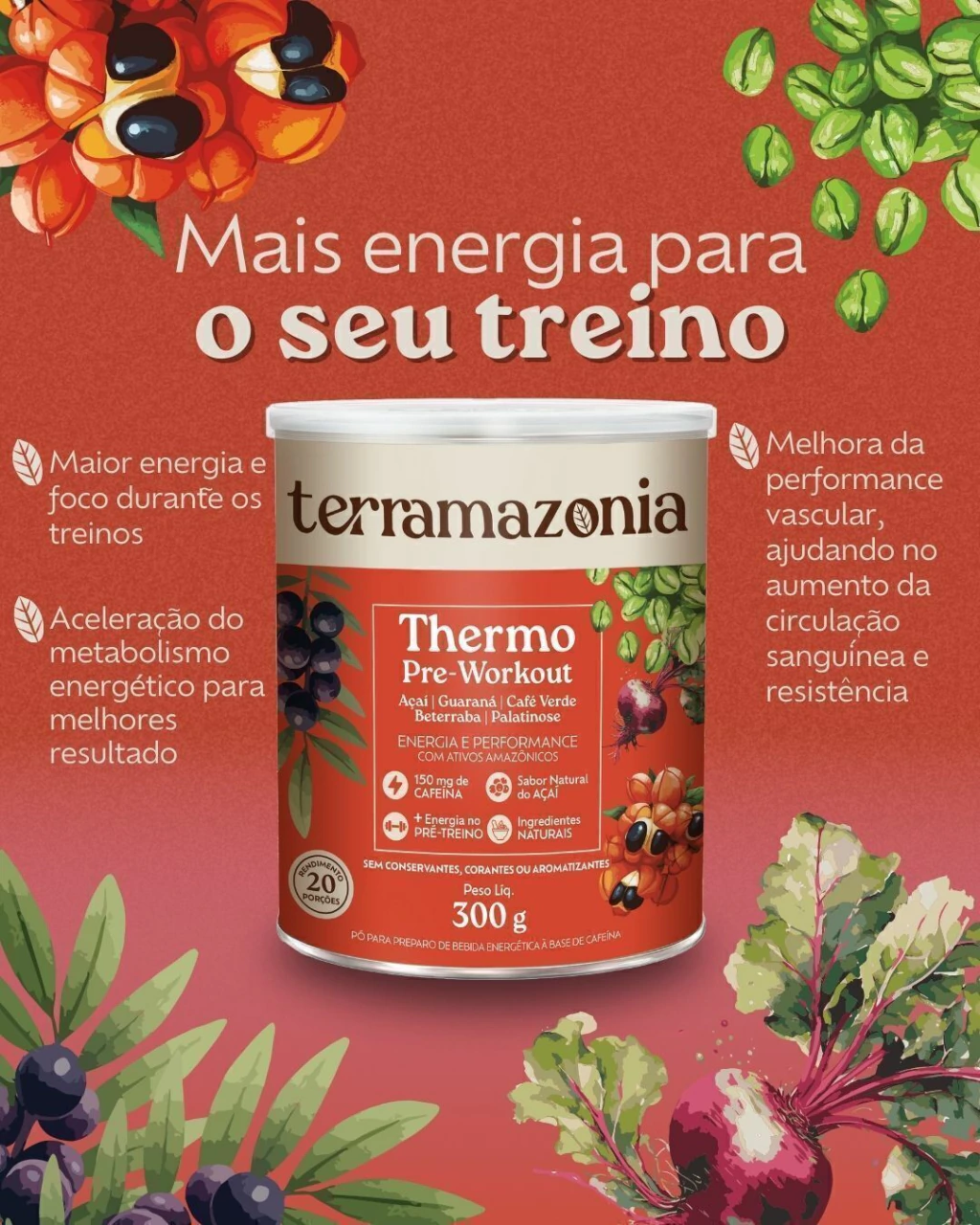 Comprar Thermo Pré-Workout 300g Terramazonia - Grupo Rocha Saúde, Chás ...