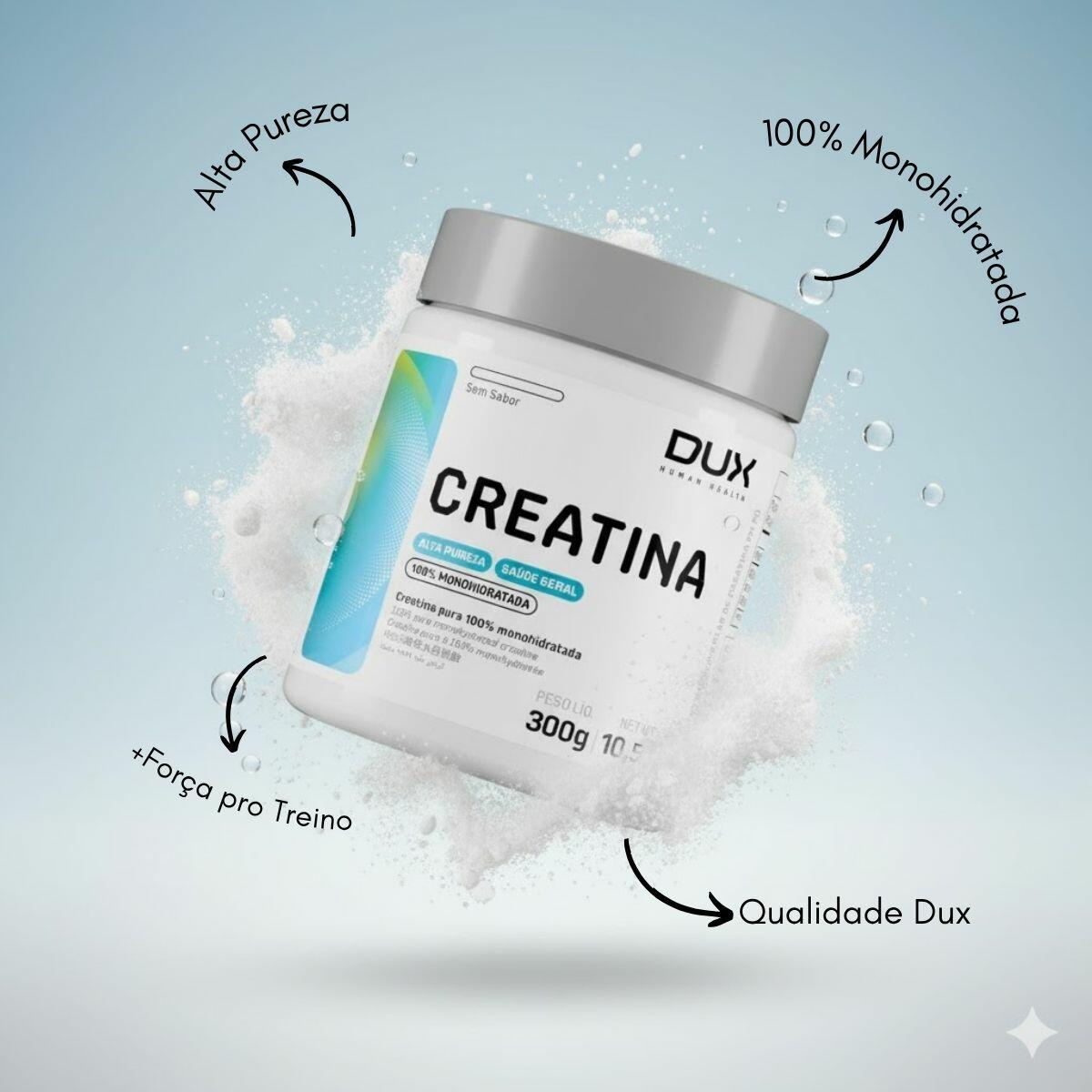 Mix Creatina e Barras de Proteina 20g Protein | Grupo Rocha