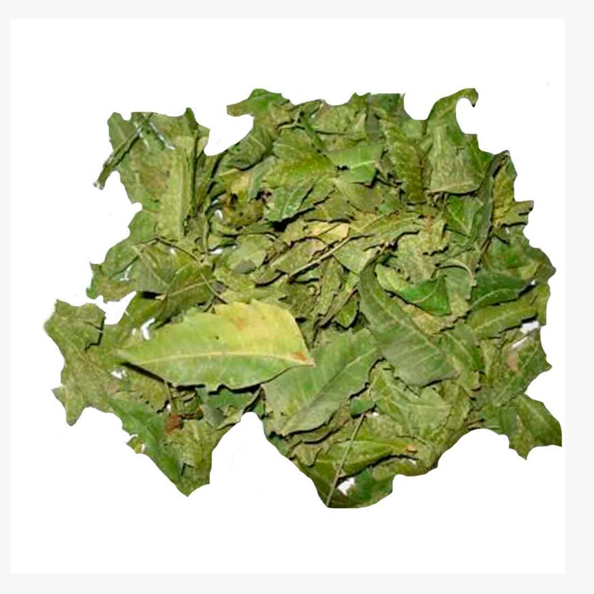 Cha de Nim Indiano Natural Grupo Rocha Saude Selecionado 100% Puro 100g