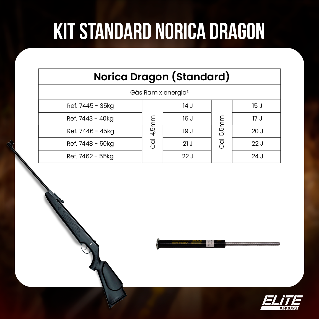 Kit Standard Norica Dragon