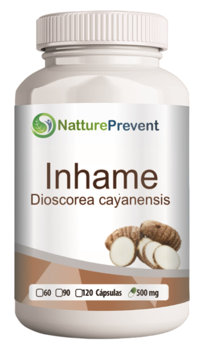 Comprar Inhame 500mg Suplemento Alimentar 100% Natural - de R$18,81 a R ...