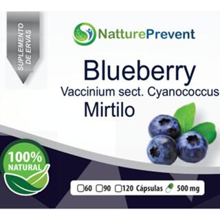 Comprar Blueberry (Mirtilo) 500 mg - de R$21,49 a R$28,66