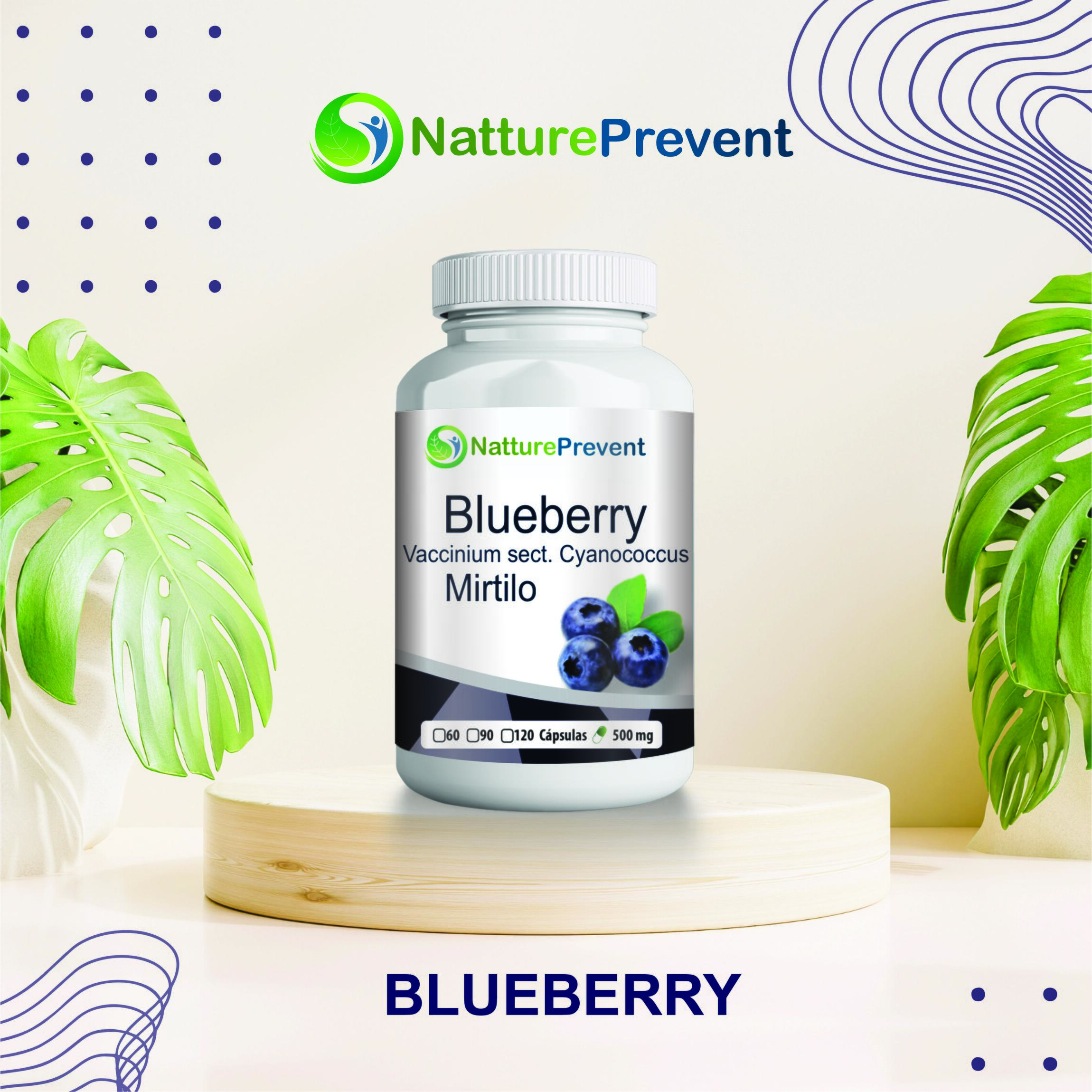 Comprar Blueberry (Mirtilo) 500 mg - de R$21,49 a R$28,66