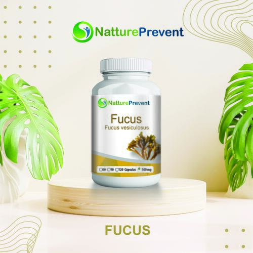 Comprar Fucus 500 mg - de R$20,60 a R$27,76