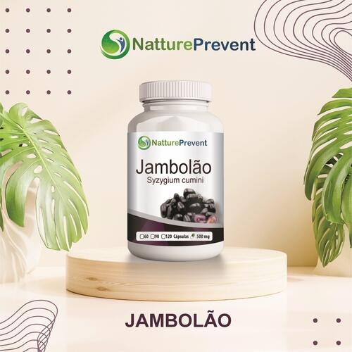 Comprar Jambolão 500 mg - de R$19,70 a R$26,86