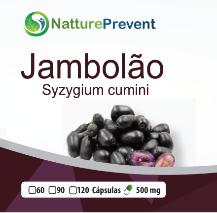Comprar Jambolão 500 mg - de R$19,70 a R$26,86