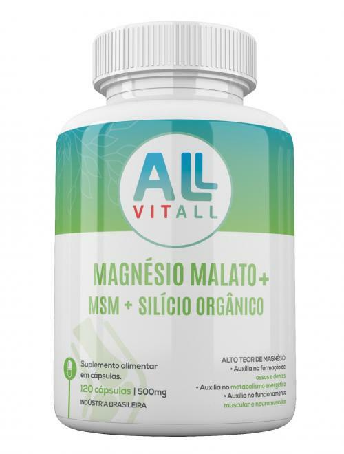 Comprar NOITE> Magnésio Malato + MSM + Silício Orgânico - 500mg 120 ...