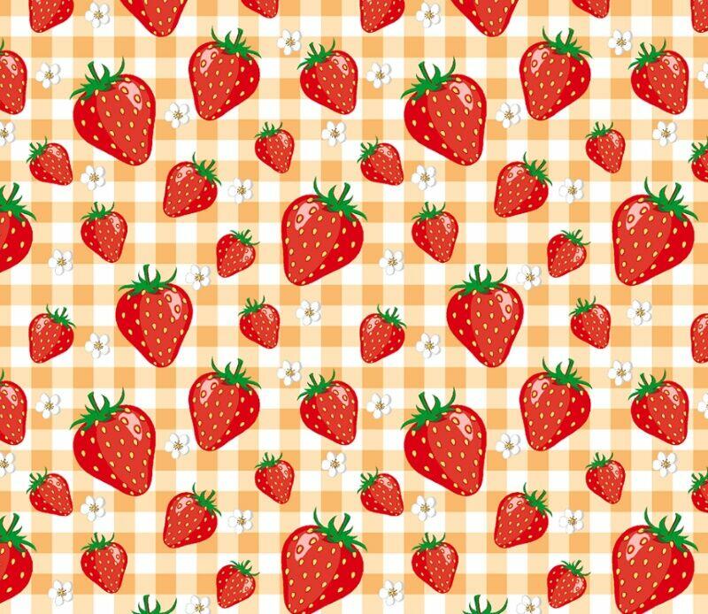 Comprar Tecido Estampado Morango Fundo Xadrez Sig 0,5X1,50 - a partir ...