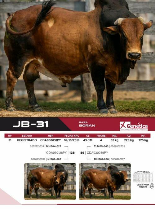 Comprar JB-31 - a partir de R$92,96 - X Genética