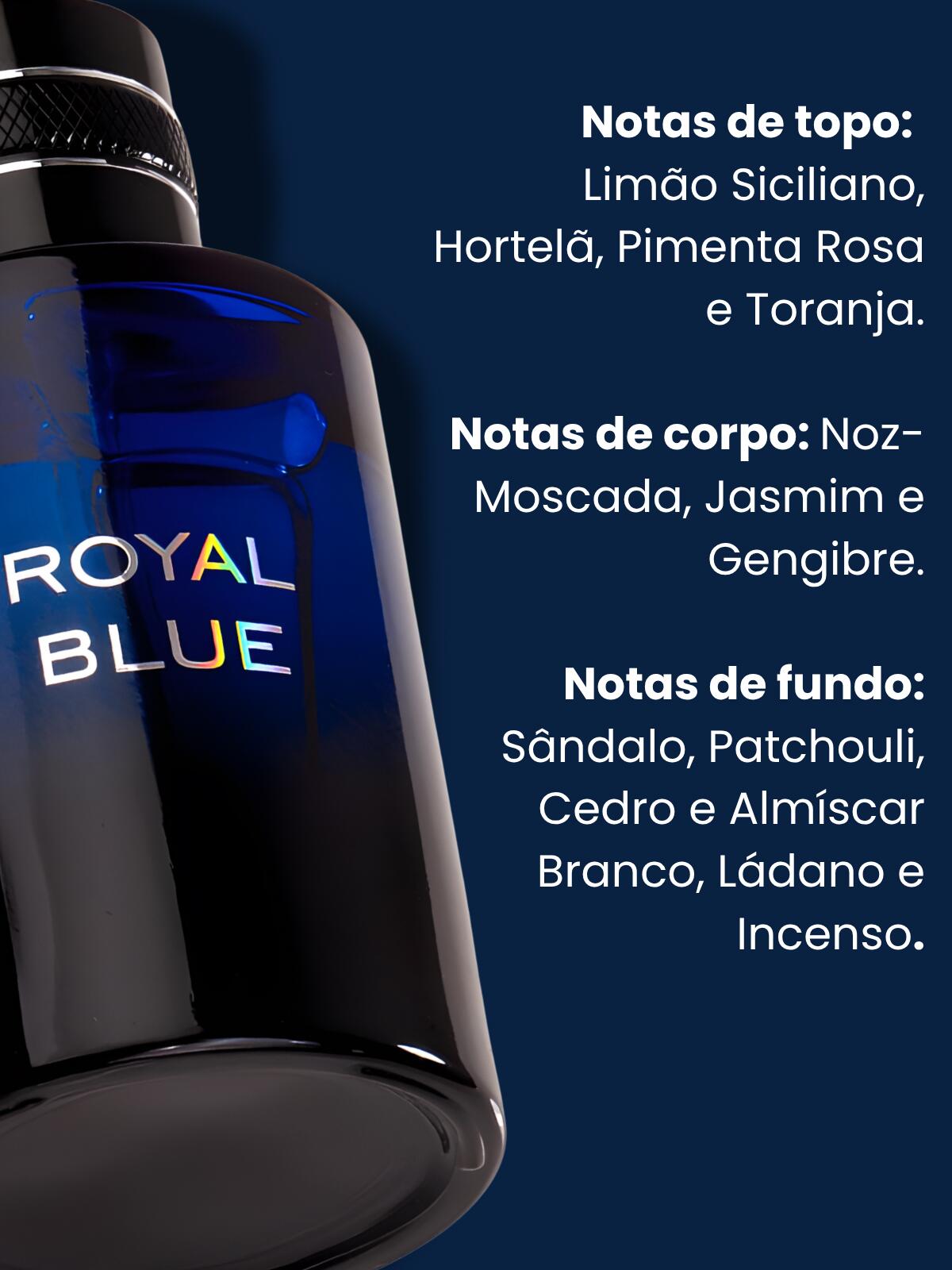 Comprar Perfume Royal Blue Masculino 100ml - Amadeirado Citrico - a ...