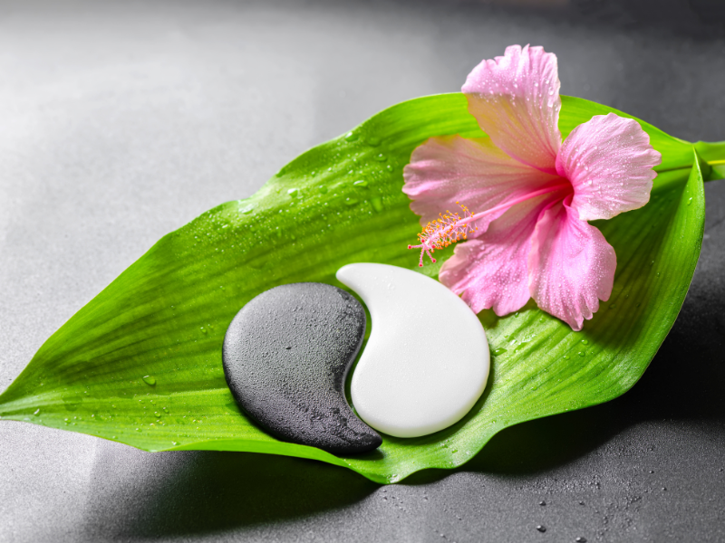 Yin Yang: significado, origem e leis do símbolo
