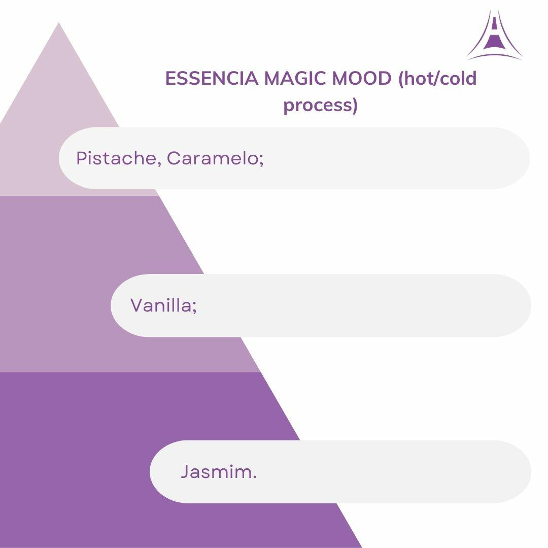 Comprar ESSENCIA MAGIC MOOD (hot/cold process) - de R$30,30 a R$386,47 ...