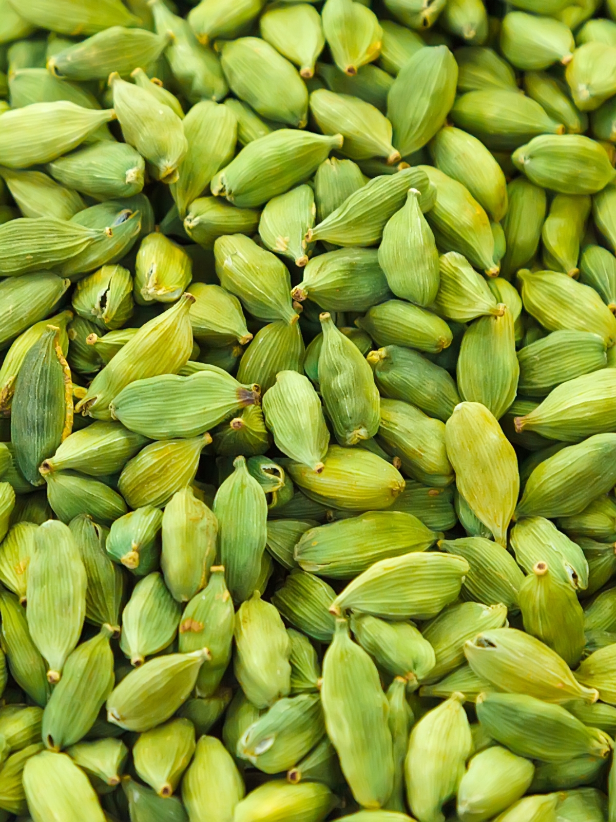 Comprar Molho Umami Chá Verde, Endro e Cardamomo (edição limitada ...