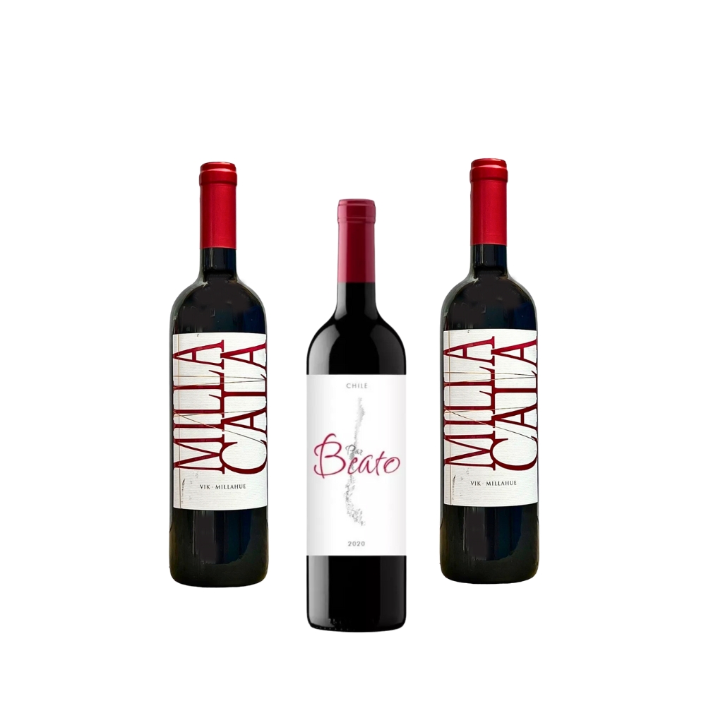 Kit Viña Vik - WineShop21