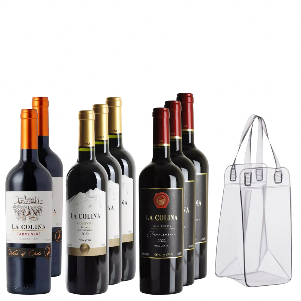 Sugestão do Sommelier + Bônus - 1 - WineShop21