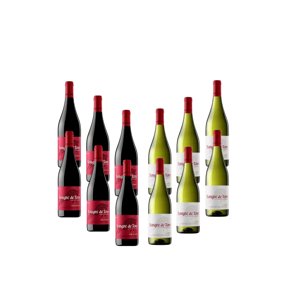 SANGRE DE TORO - MISTO - WineShop21