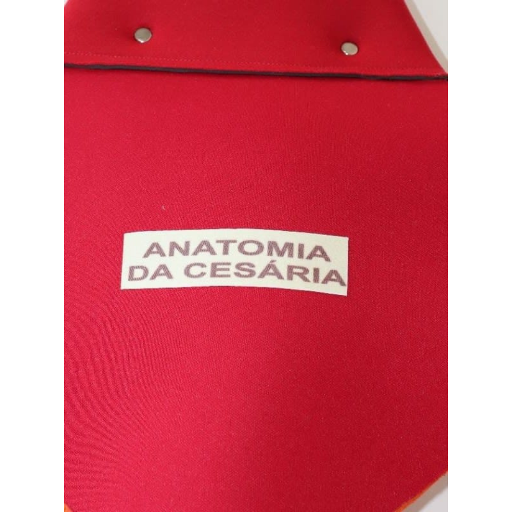 Anatomia Da Cesárea | Calica Mundo do Parto - R$389,00