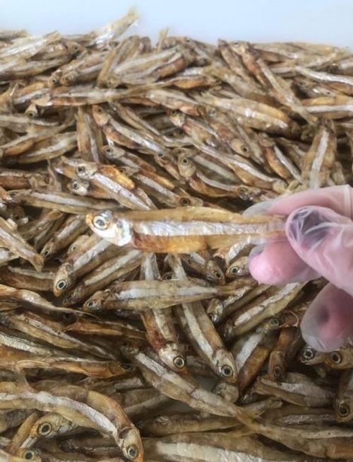 Comprar Manjuba - R$32,00 - Loja da Stella