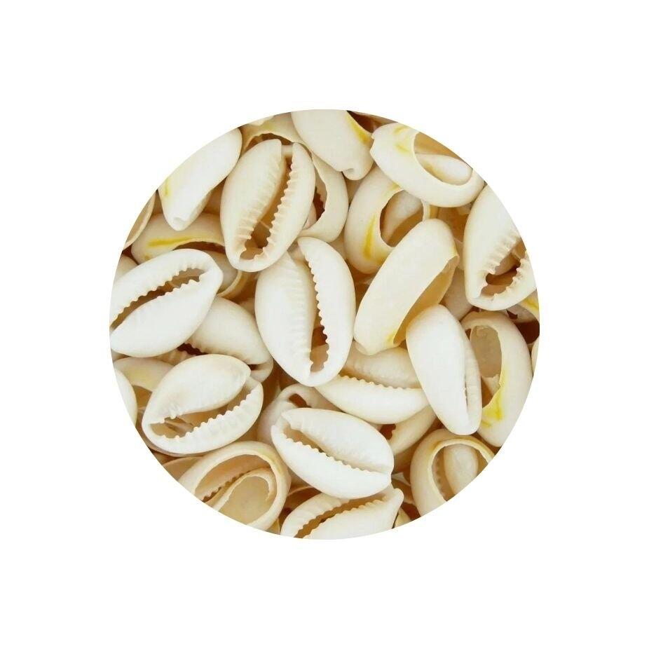 Comprar BÚZIO NATURAL ABERTO 18x20MM PACOTE COM 30 UNIDADES - R$21,90
