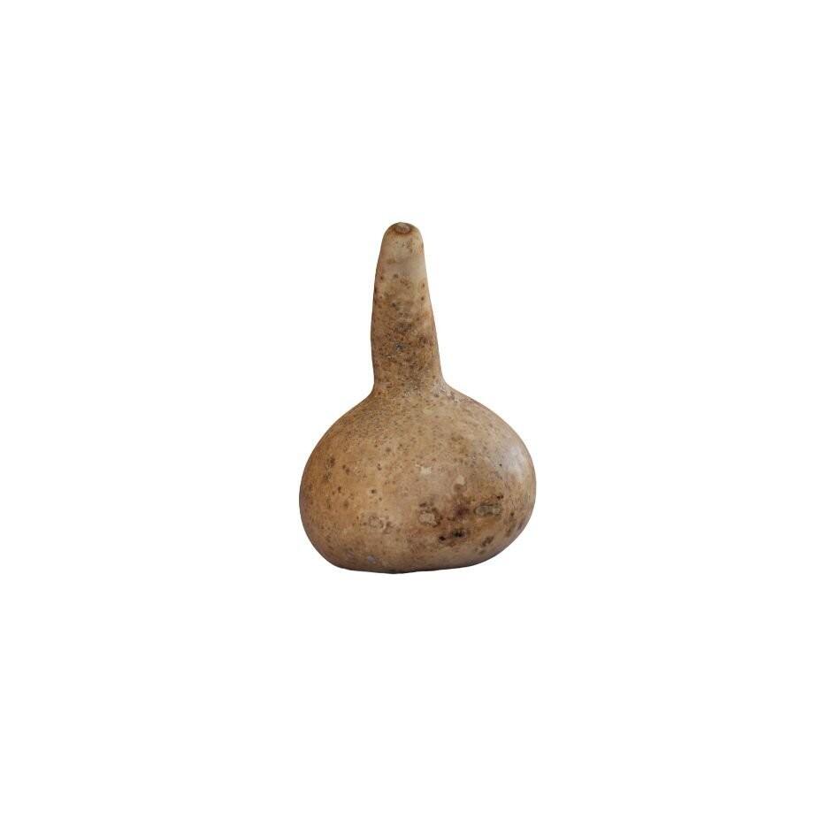 Comprar CABAÇA GRANDE UNIDADE
