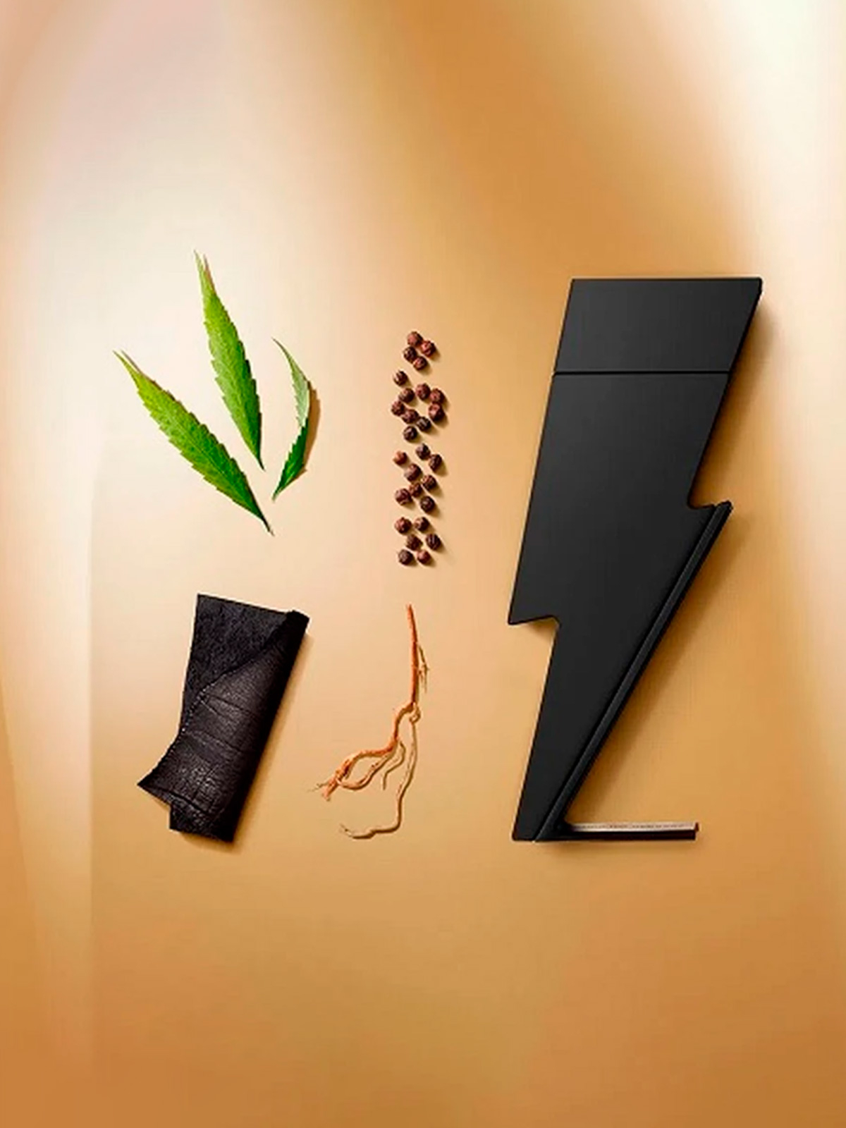 Perfume Masculino Bad Boy Le Parfum Carolina Herrera Eau de Parfum 100ml