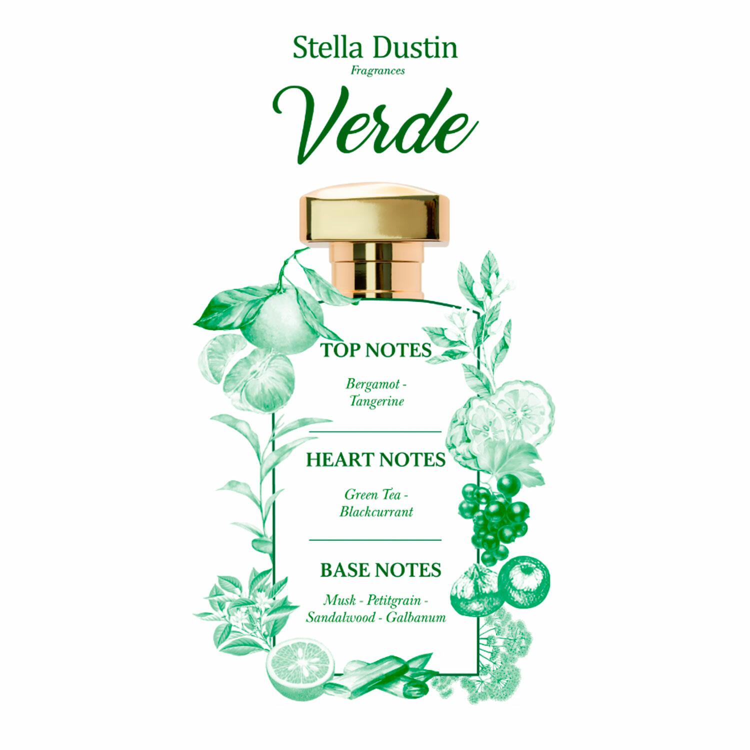 Perfume Masculino Verde Terra - Stella Dustin EDP 100ml - a partir de R ...